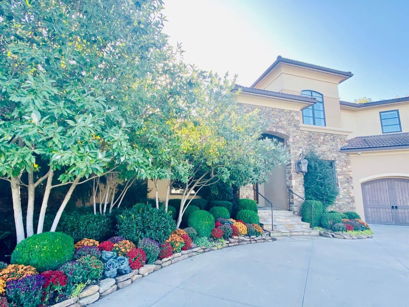 7 Best Trees to Plant in Your Kansas City Landscape