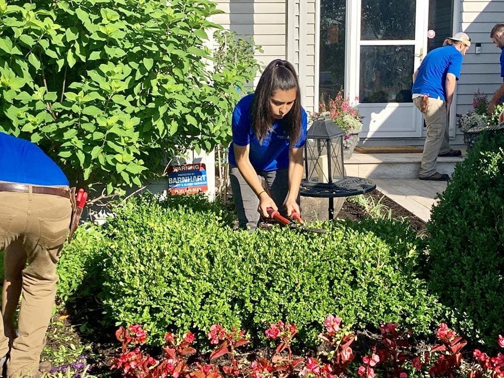 5 Landscaping Tools Every Homeowner Should Keep on Hand