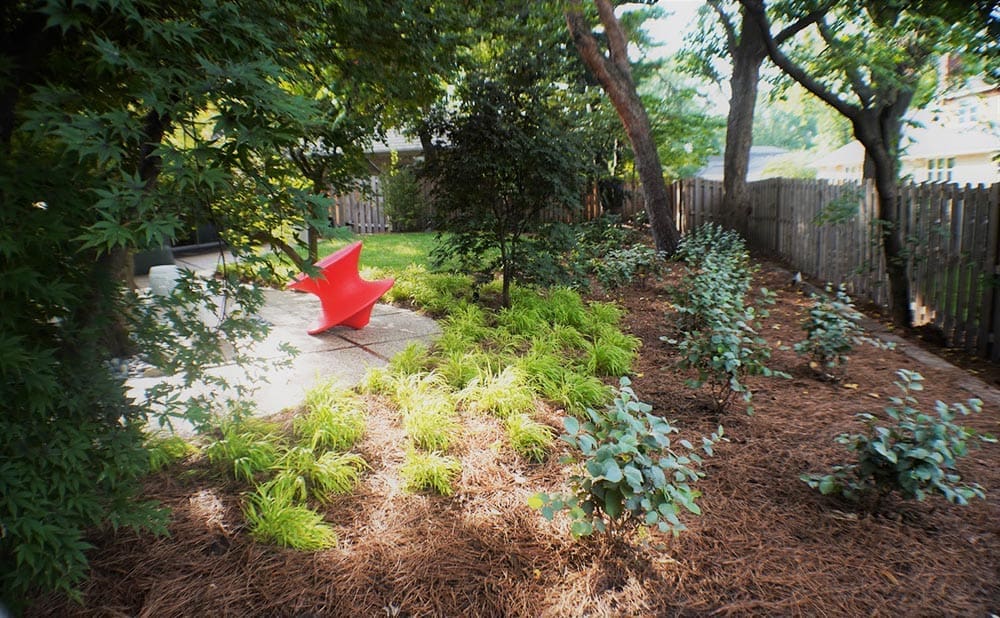 Landscaping Ideas for Shaded Areas In My Yard | KC Landscaping