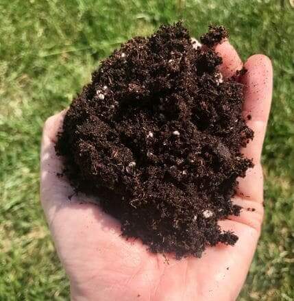 Soil: The Life of Your Landscape Depends on the Foundation