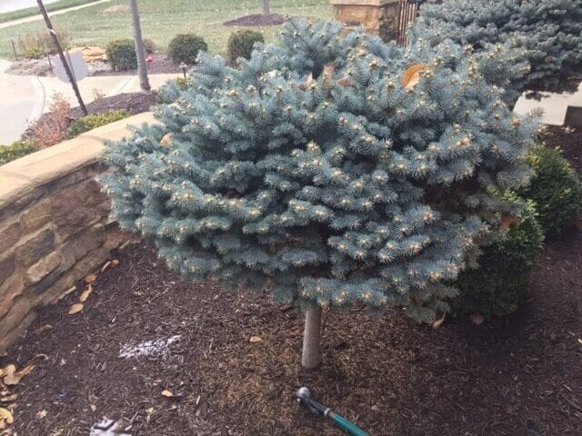 A Guide To Winter Watering | High Prairie Outdoors